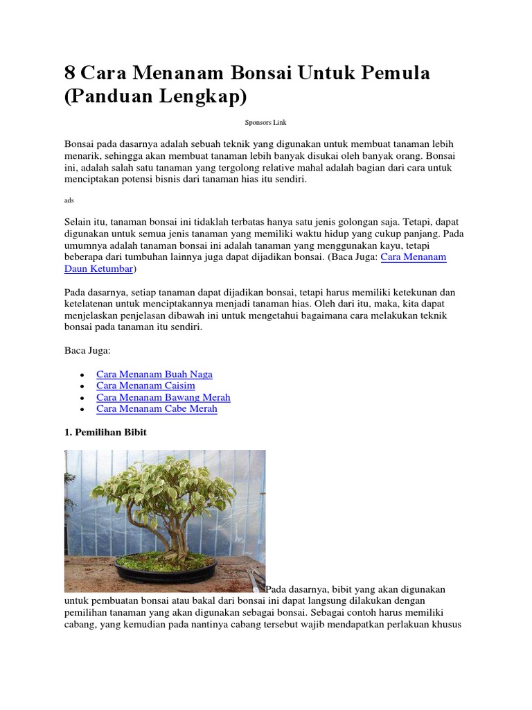 8 Cara Menanam Bonsai Untuk Pemula | PDF | Griya & Taman