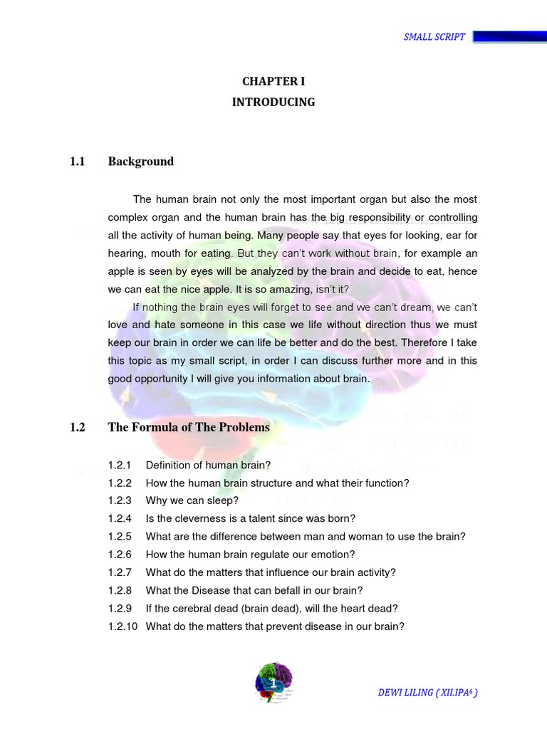 Introducing: Small Script | PDF | Cerebrum | Sleep