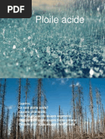 Ploaia Acida | PDF