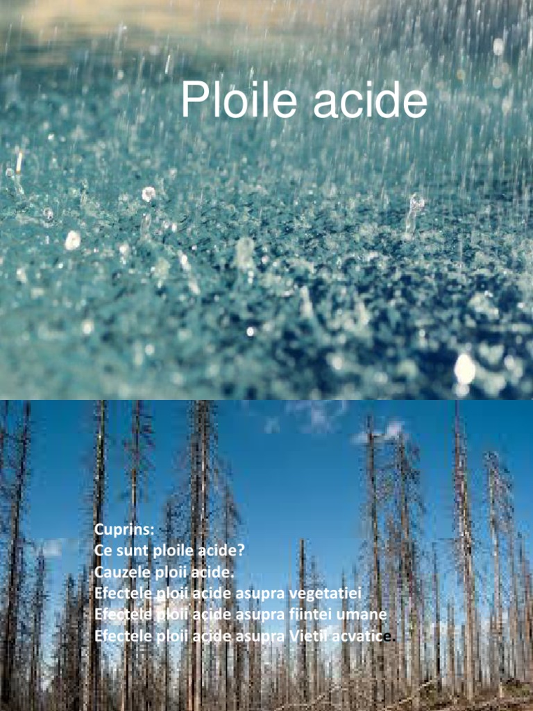 Ploi Acide | PDF