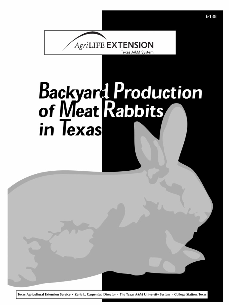Rabbit Book PDF | PDF | Rabbit | Meat