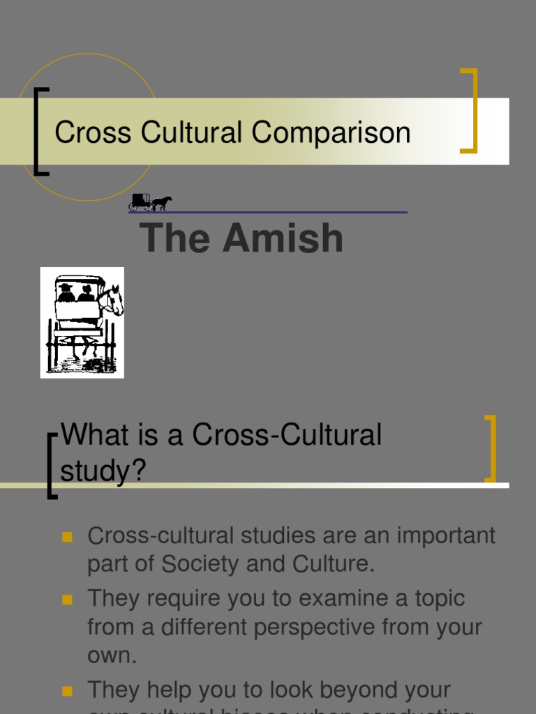 Cross Cultural Comparison: The Amish | PDF | Amish | Anabaptism