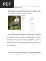 Kliping Jenis Burung Elang Yang Ada Di Indonesia | PDF