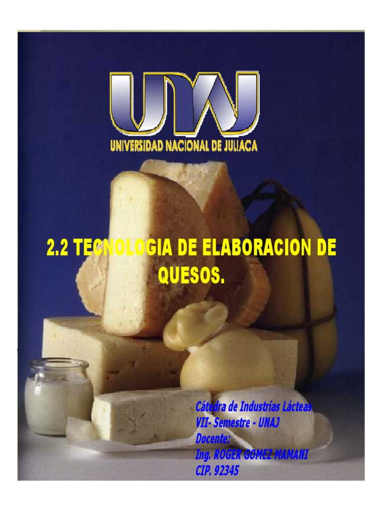 Elaboracion de Queso | PDF | Queso | Leche