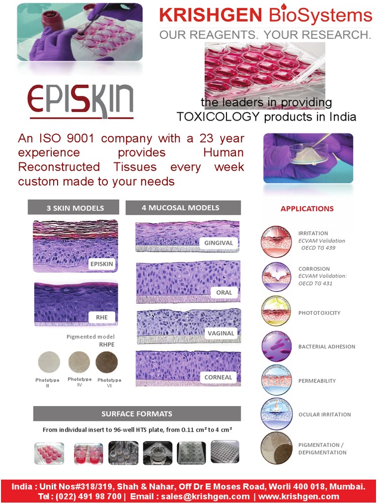 Episkin Flyer
