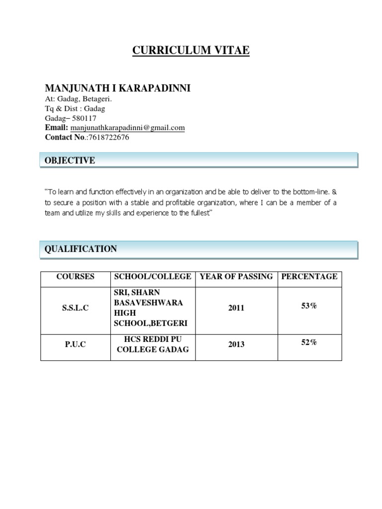 Curriculum Vitae: Manjunath I Karapadinni | PDF | Business