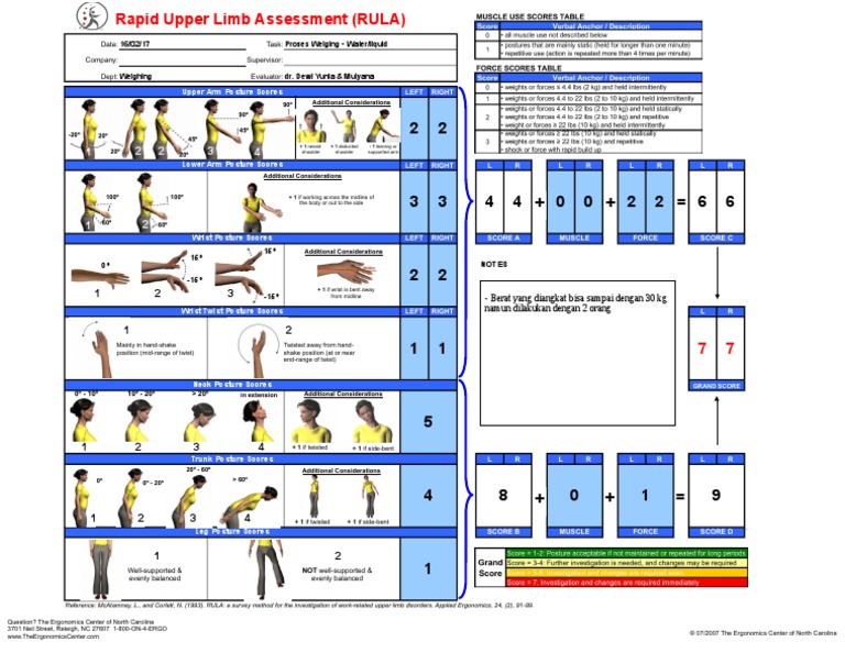 RULA Form | PDF | Anatomical Terms Of Motion | Limbs (Anatomy)