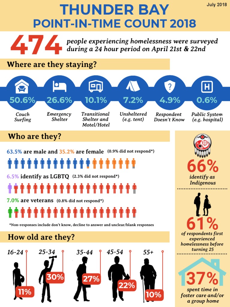 Pit Infographic Final July 24 | PDF | Homelessness | Society