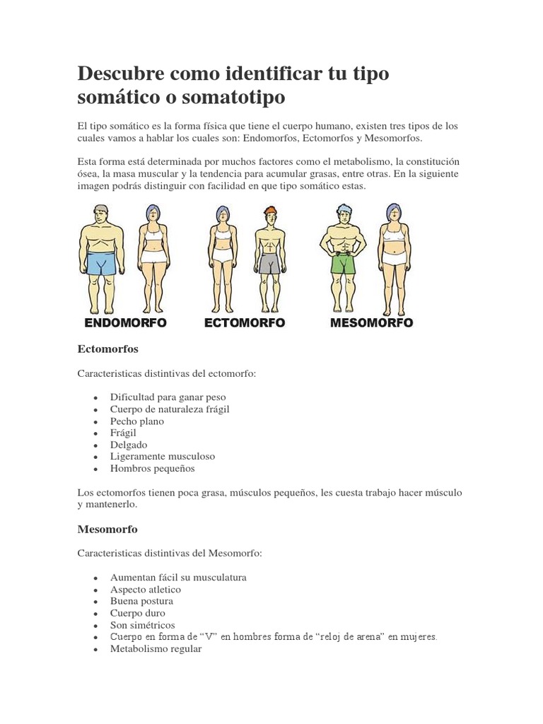 Descubre Como Identificar Tu Tipo Somático o Somatotipo | PDF | Músculo ...