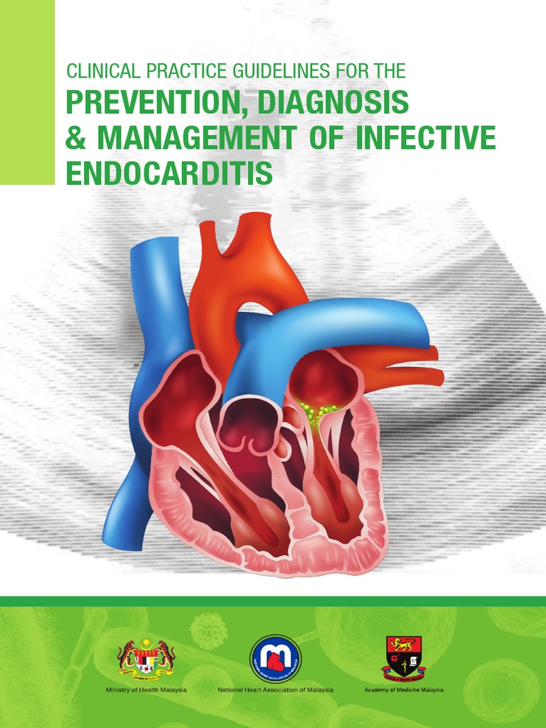 CPG Prevention, Diagnosis & Management of IE PDF | PDF ...