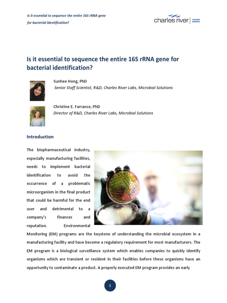 Is It Essential To Sequence The Entire 16S rRNA Gene For Bacterial ...