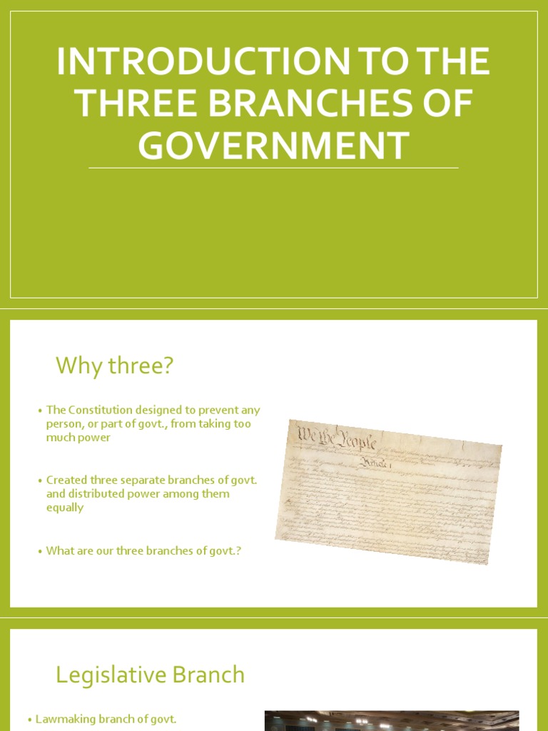 Introduction To The Three Branches of Government | PDF