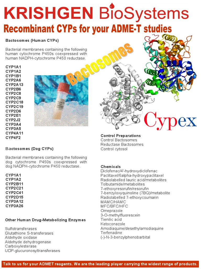 Cypex Flyer | PDF
