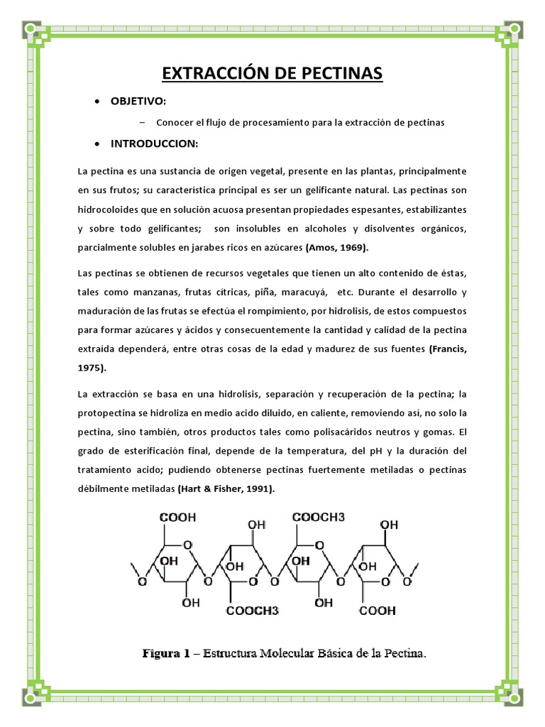 Extracción de Pectinas Discusion | PDF | Agua | Naranja)