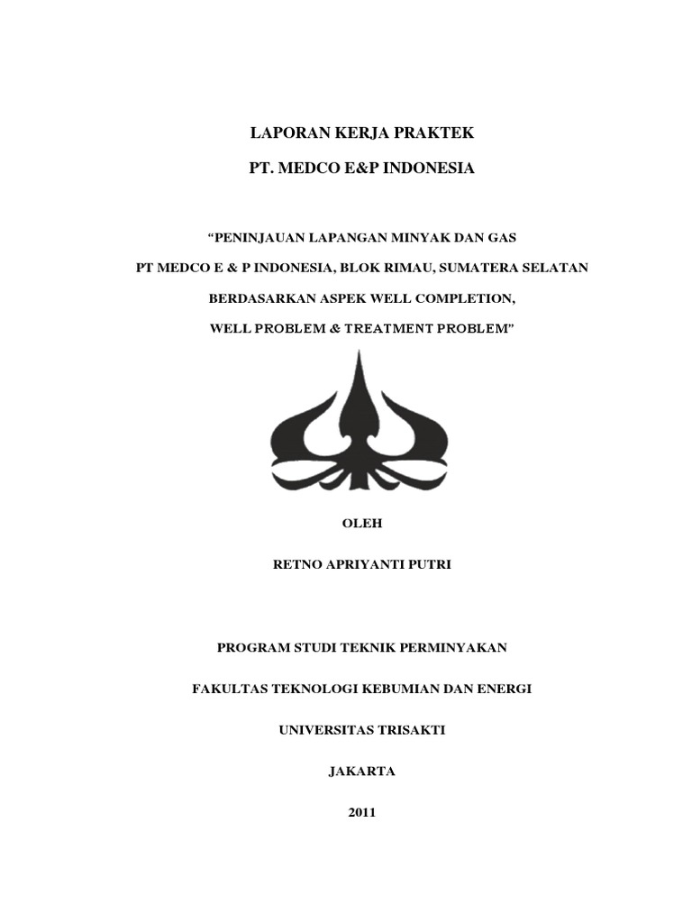 Peninjauan Lapangan Minyak Blok Rimau | PDF