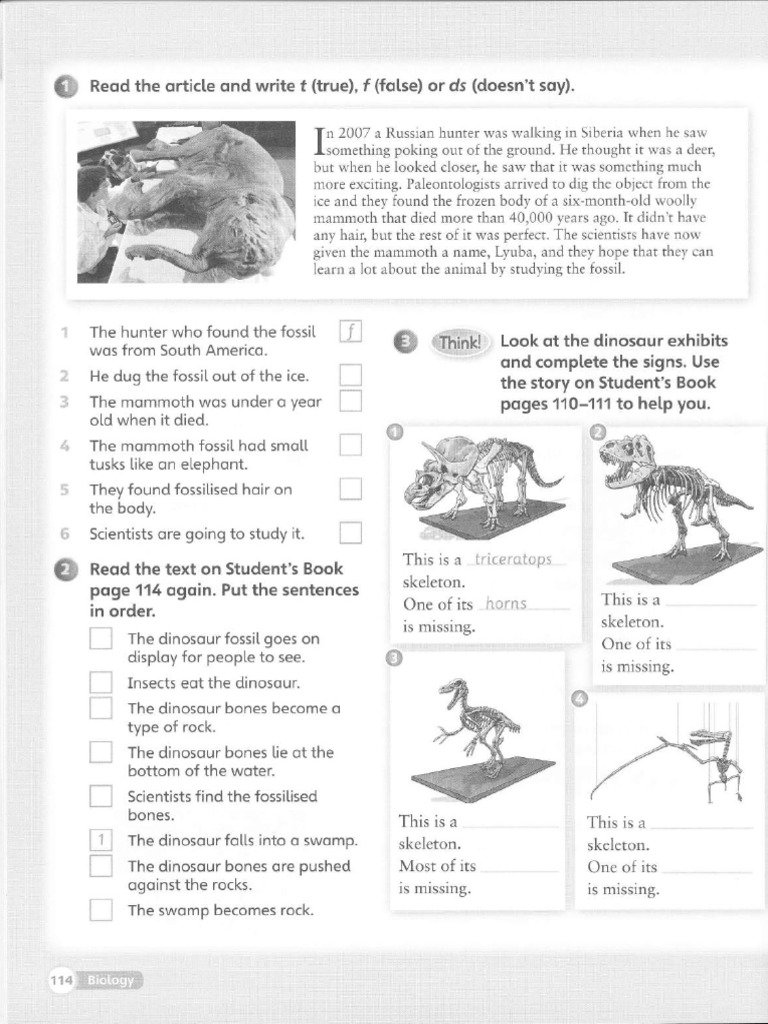 Super Minds 6 Workbook 101 | PDF | Nature | Biology