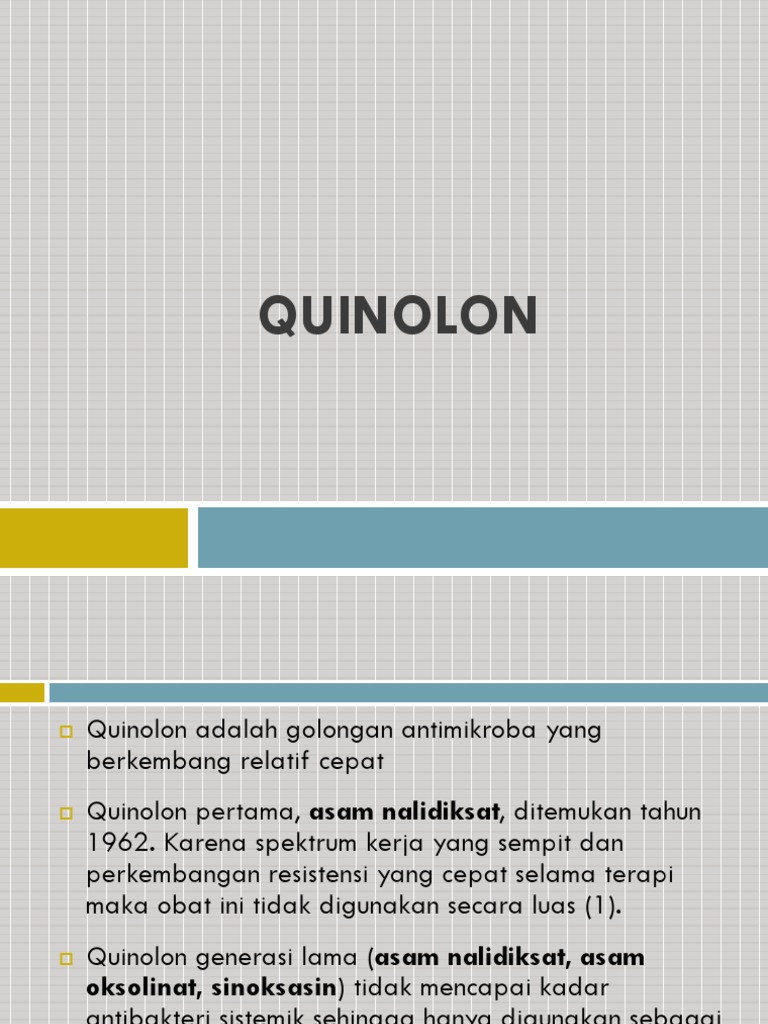 4.1 Quinolon | PDF