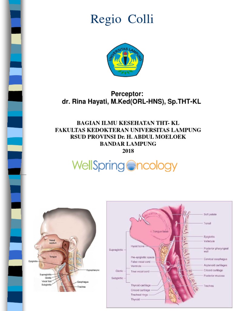 Regio Colli: Perceptor: Dr. Rina Hayati, M.Ked (ORL-HNS), SP - THT-KL ...
