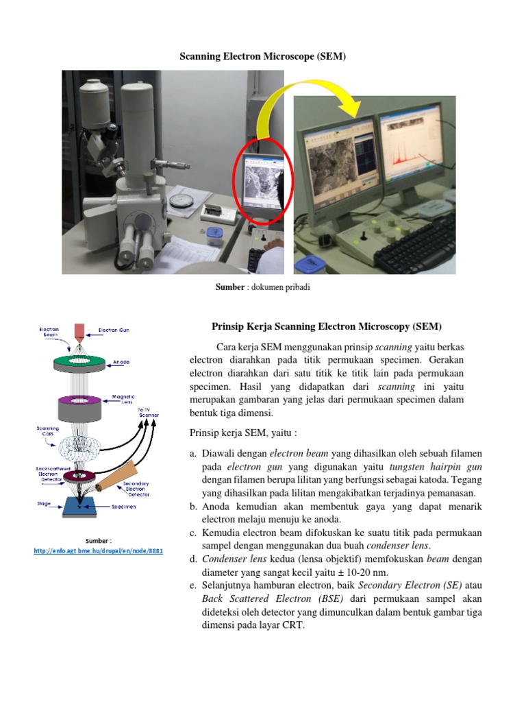 Prinsip Kerja SEM dan XRD | PDF | Sains & Matematika