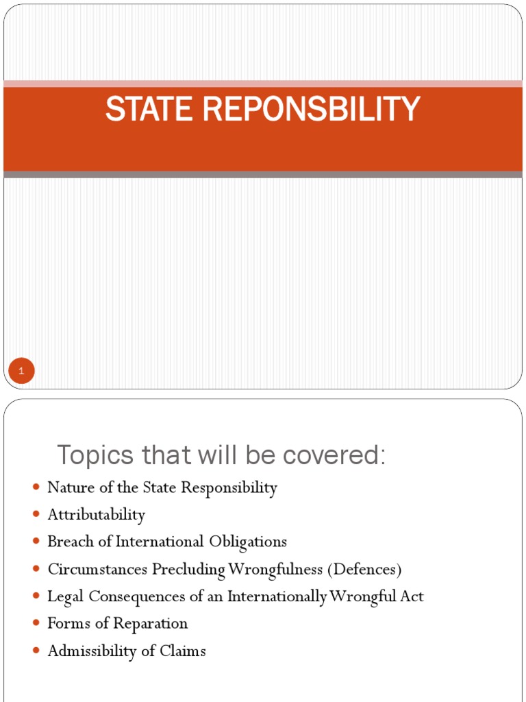 State Responsibility | PDF | Restitution | Social Institutions