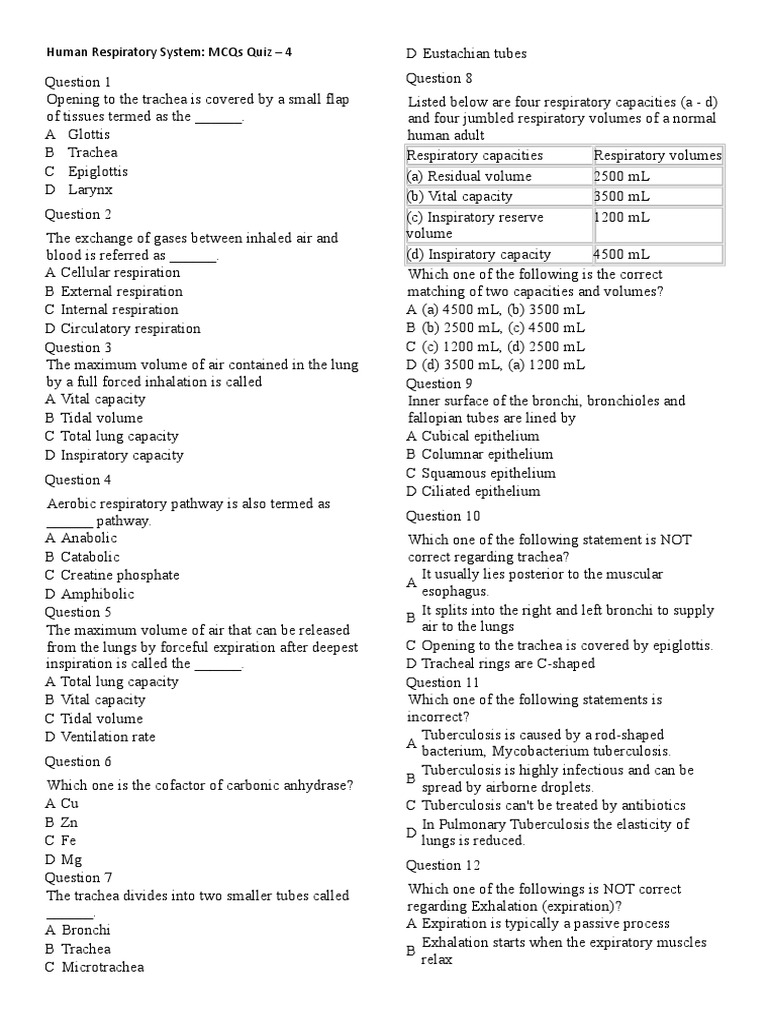 Human Respiratory System: Mcqs Quiz - 4 | PDF | Respiratory System ...