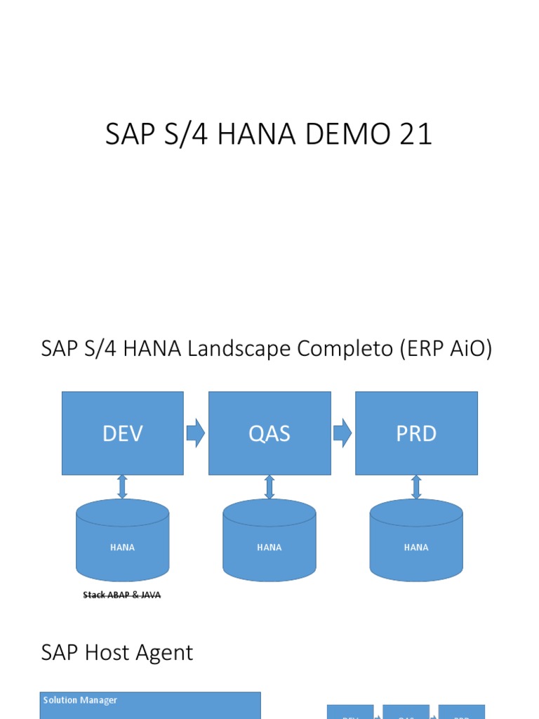 SAP S/4 HANA DEMO 21 Landscape | PDF
