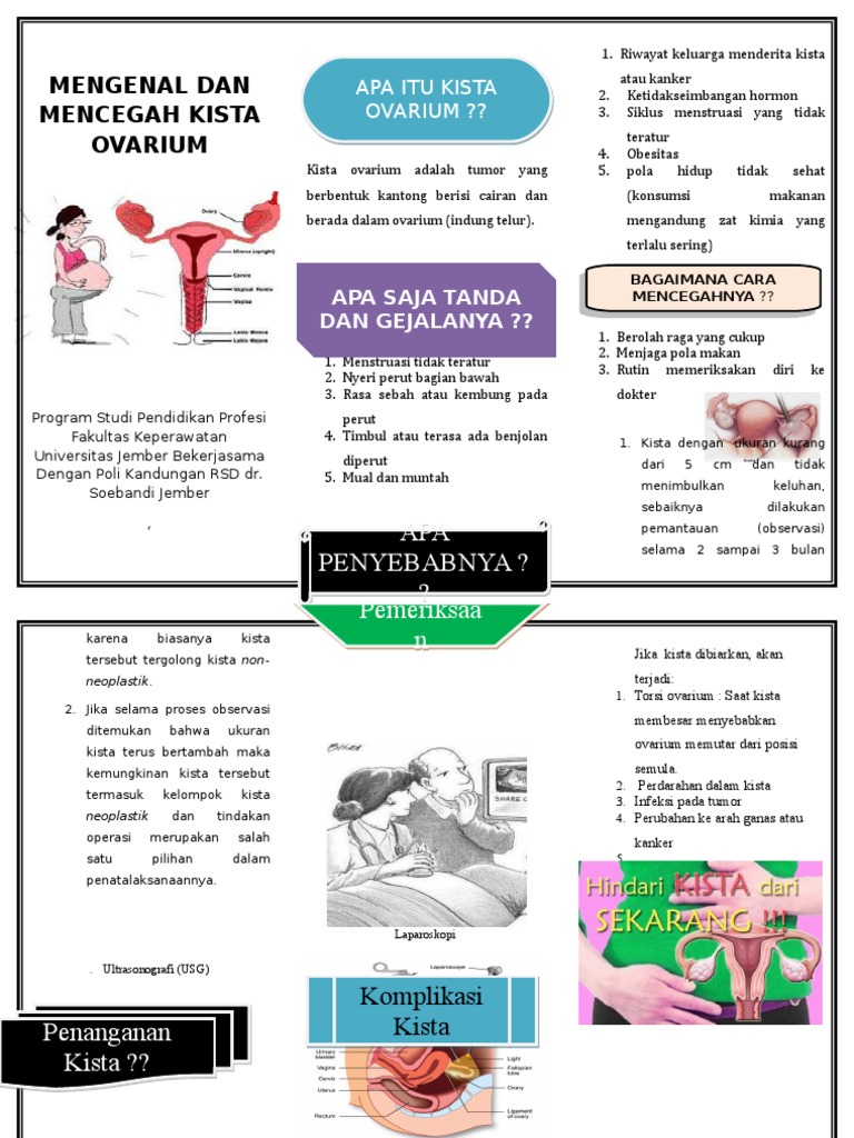 Leaflet Kista Polkan | PDF