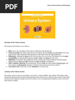 Anatomical Position Worksheet | PDF | Anatomical Terms Of Location ...