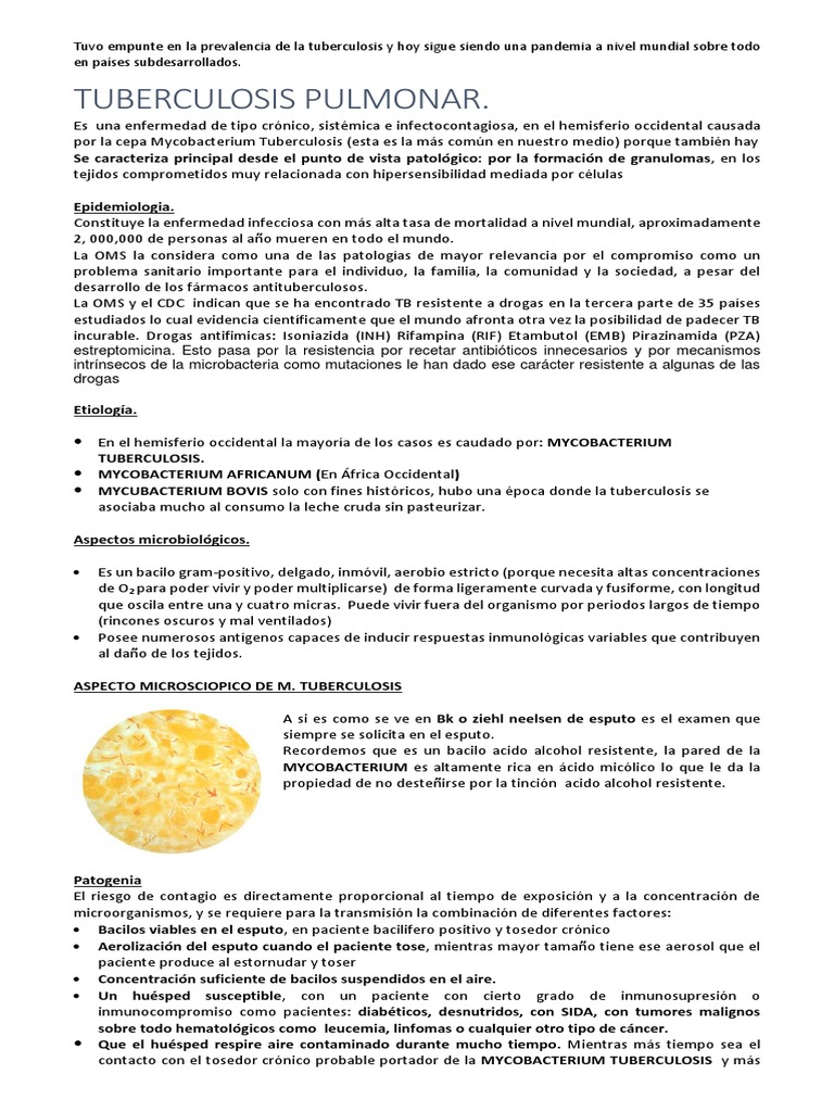 Tuberculosis Pulmonar | PDF | Tuberculosis | Enfermedades y trastornos