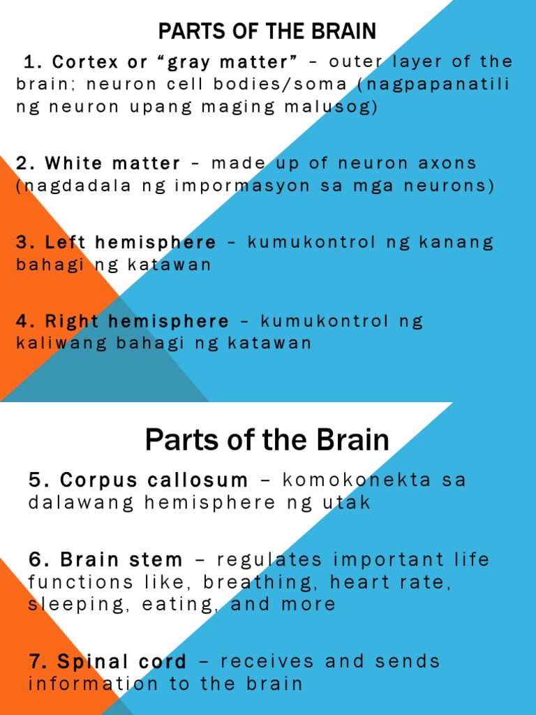 Ang Wika at Ang Utak NG Tao | PDF