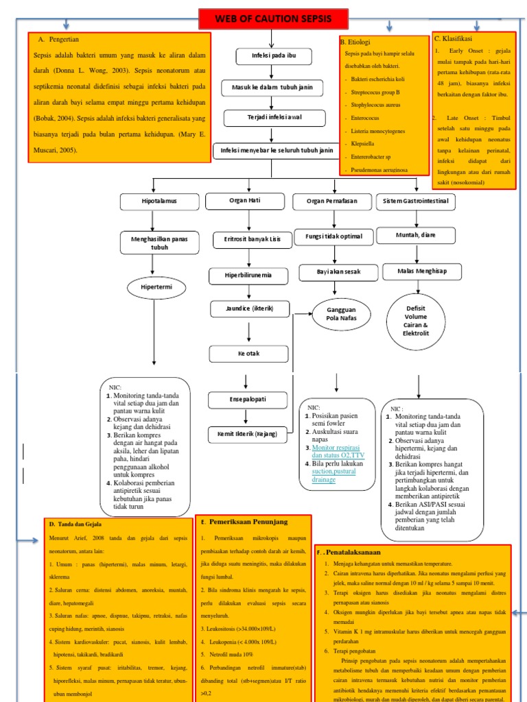 Woc Sepsis | PDF