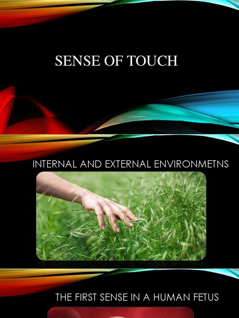 Understanding the Sense of Touch | PDF | Philosophy