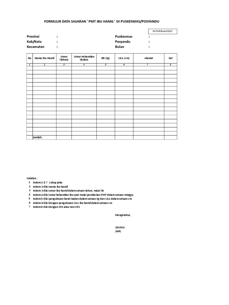 Format PMT Bumil Batam | PDF
