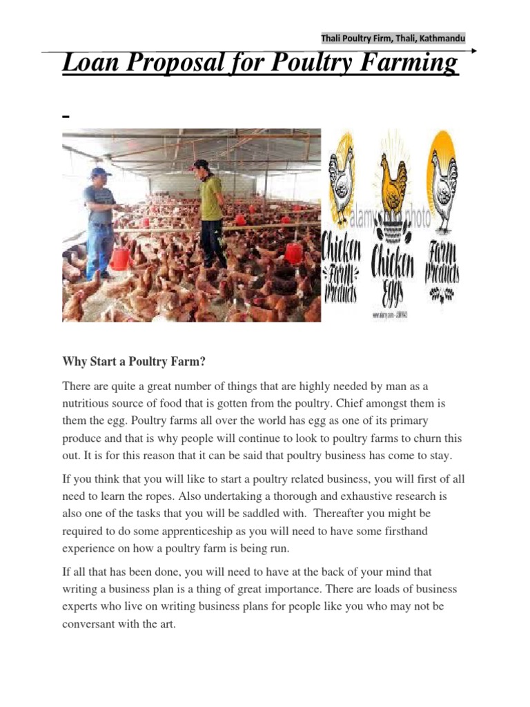 Final Proposal | PDF | Poultry | Poultry Farming