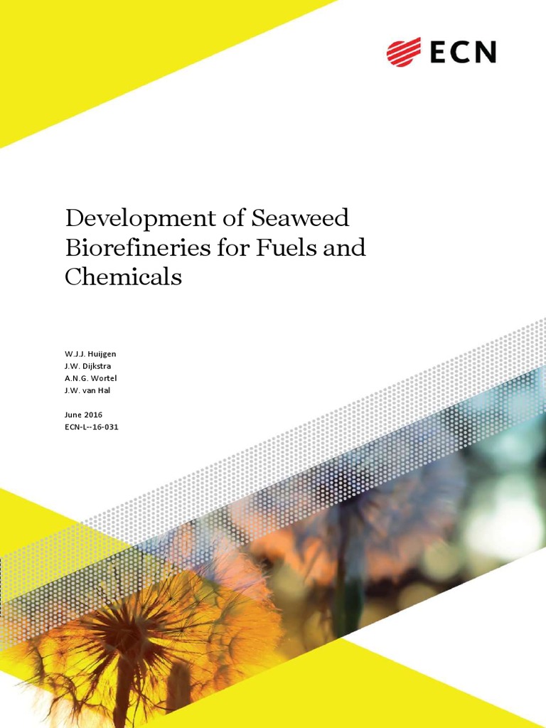 Development of Seaweed Biorefineries for Fuels and Chemicals | PDF ...
