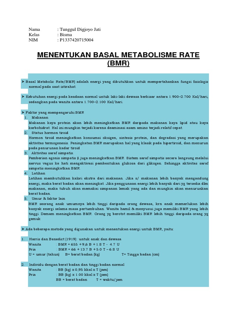 Bu Narmi Tugas BMR | PDF