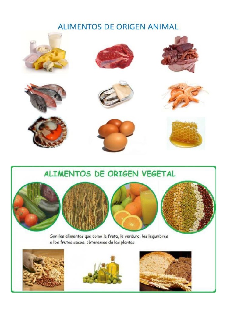 Alimentos Segun Su Origen | PDF