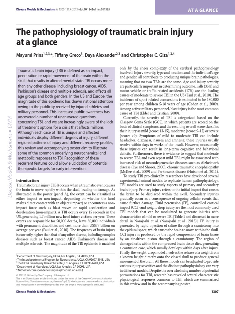 The Pathophysiology of Traumatic Brain Injury at A Glance | PDF ...