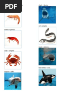 10 Animales Que Nadan | PDF