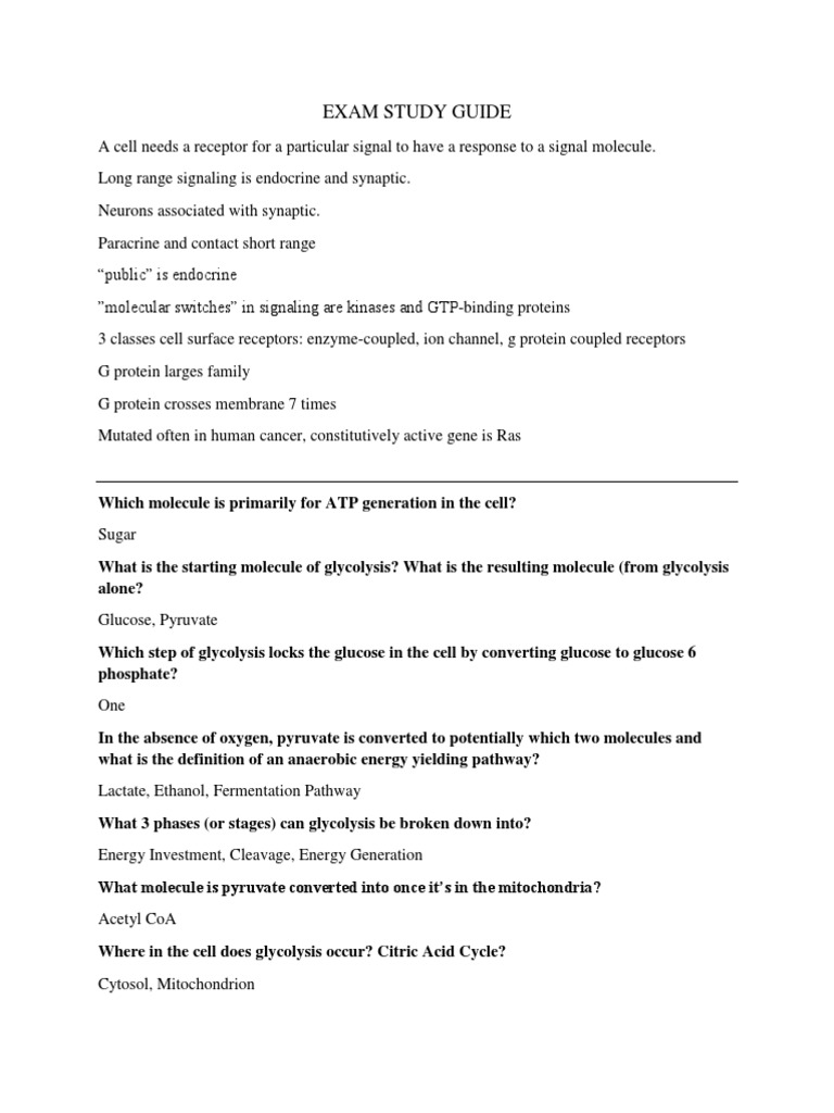 Cell and Molecular Biology Study Guide | PDF | Adenosine Triphosphate ...