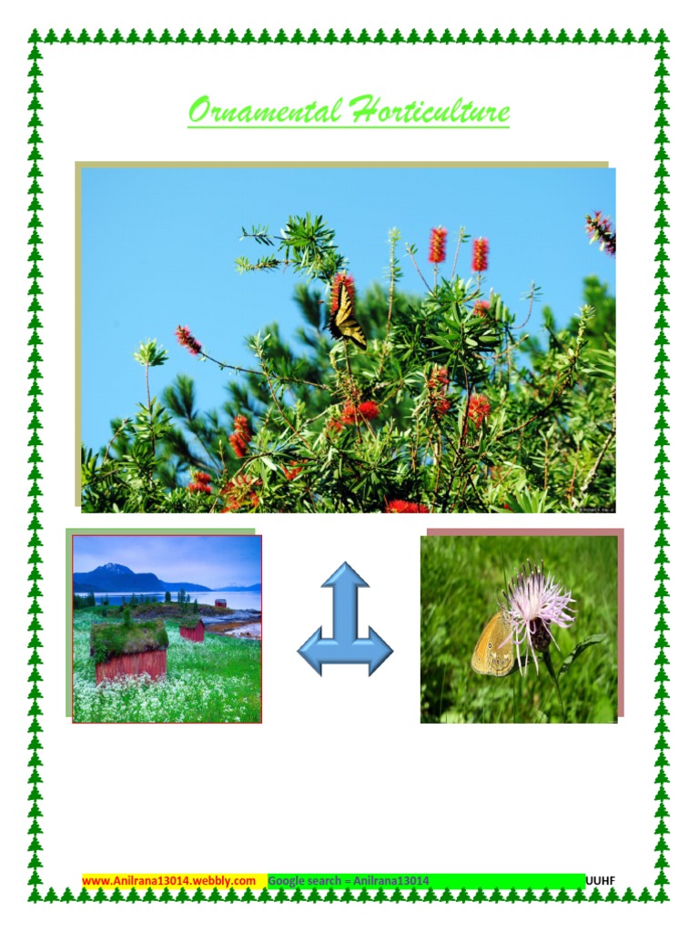 2 Ornamental | PDF | Gardens | Trees