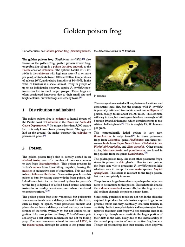 Golden Poison Frog | PDF | Vertebrates | Frog