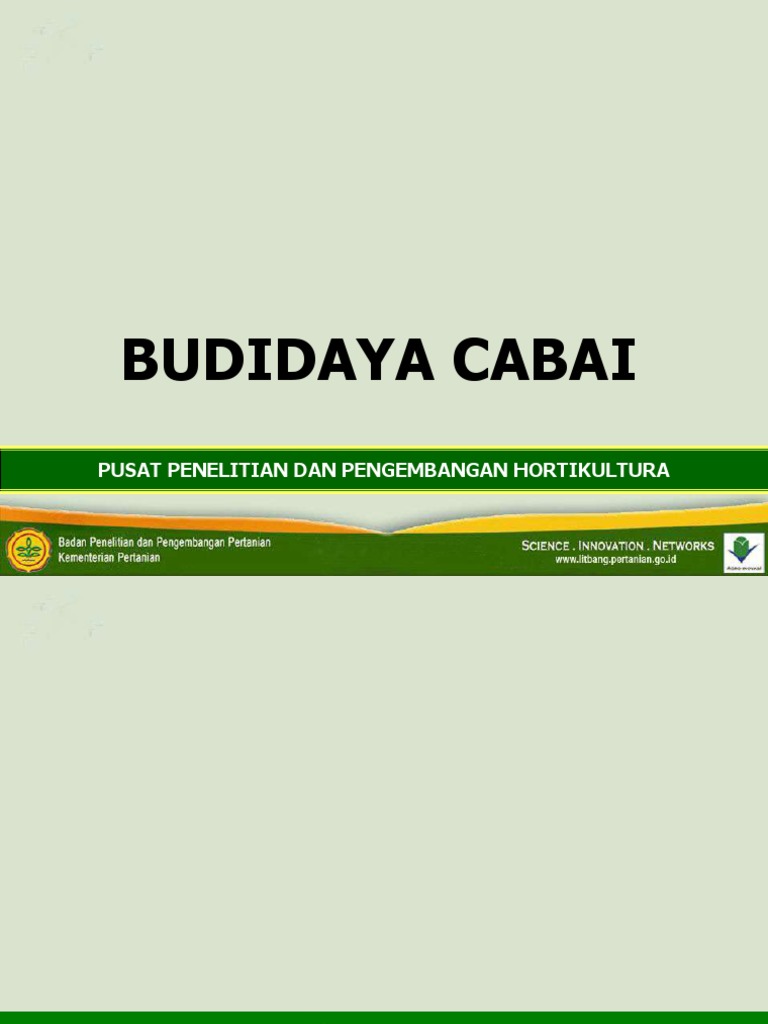 Budidaya Tanaman Cabai PDF | PDF | Griya & Taman