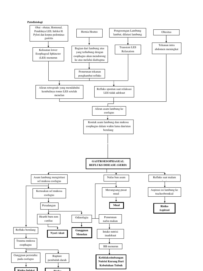 PATOFISIOLOGI GASTROESOPHAGEAL REFLUX DISEASE (GERD) | PDF