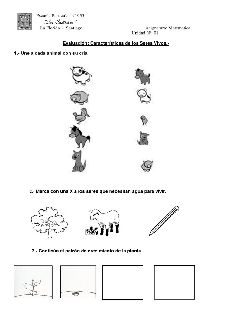 Evaluacion Caracteristicasde Los Seres Vivos | PDF