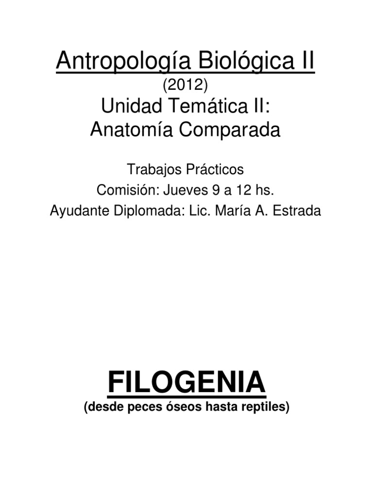 4 - Filogenia Desde Peces Óseos A Reptiles | PDF | Vertebrados | Cabeza ...