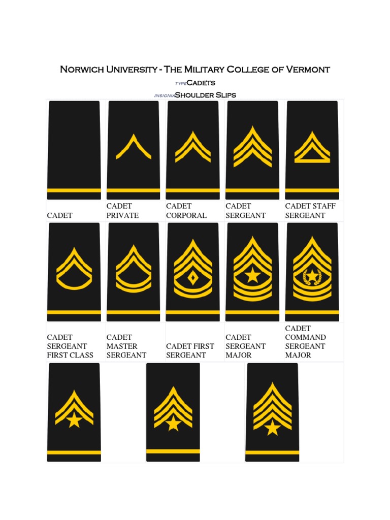 Norwich University Rank Insignias | PDF | Computers | Technology ...