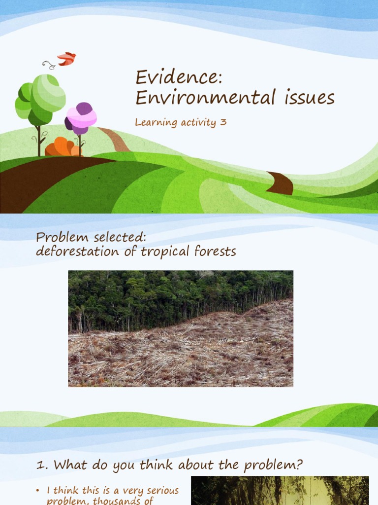 Deforestation Awareness and Solutions | PDF | Science & Mathematics