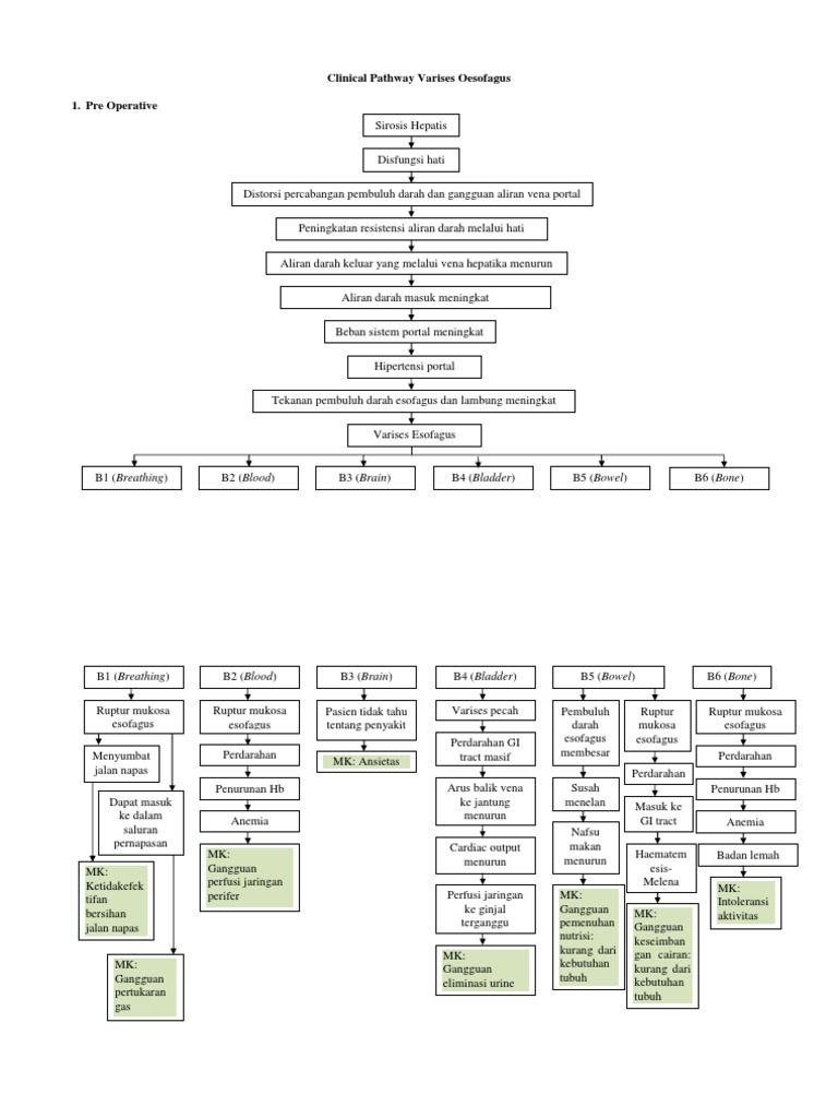 Clinical Pathway Varises Oesofagus | PDF
