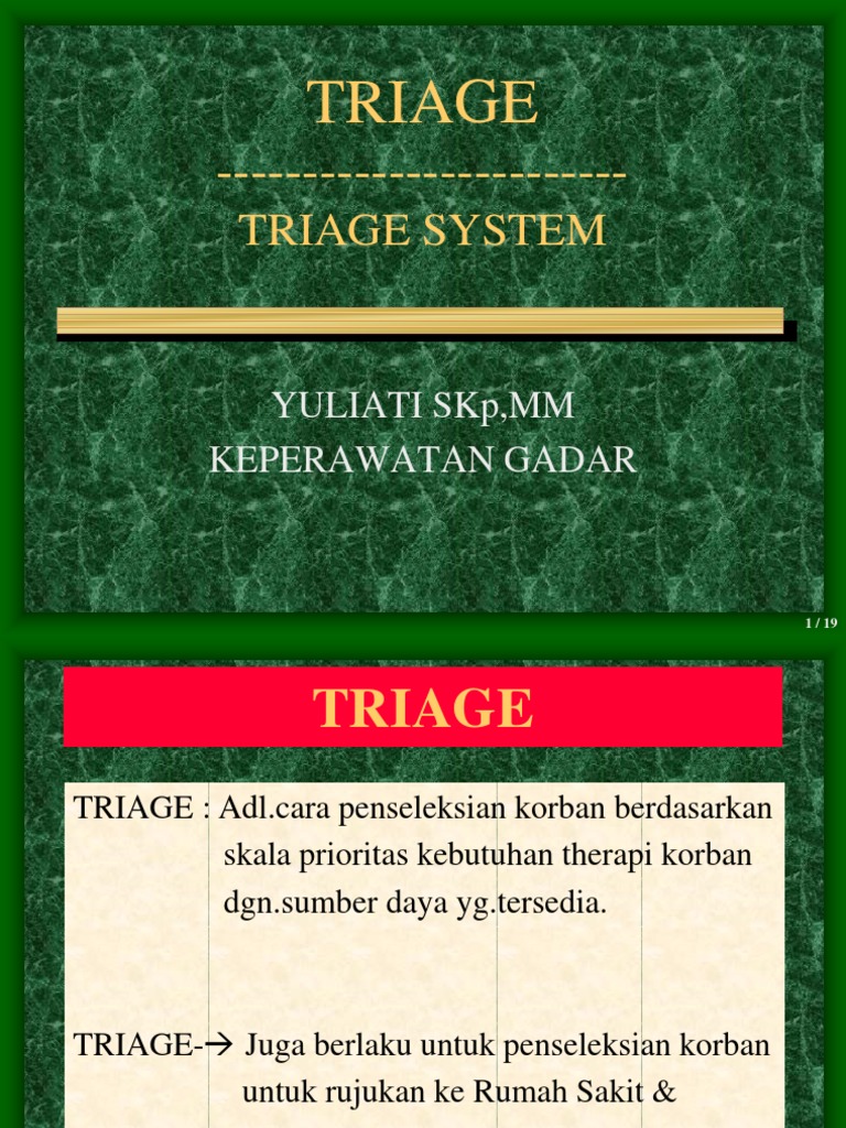 Triage System | PDF